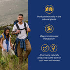 multivitamin for men with DHEA