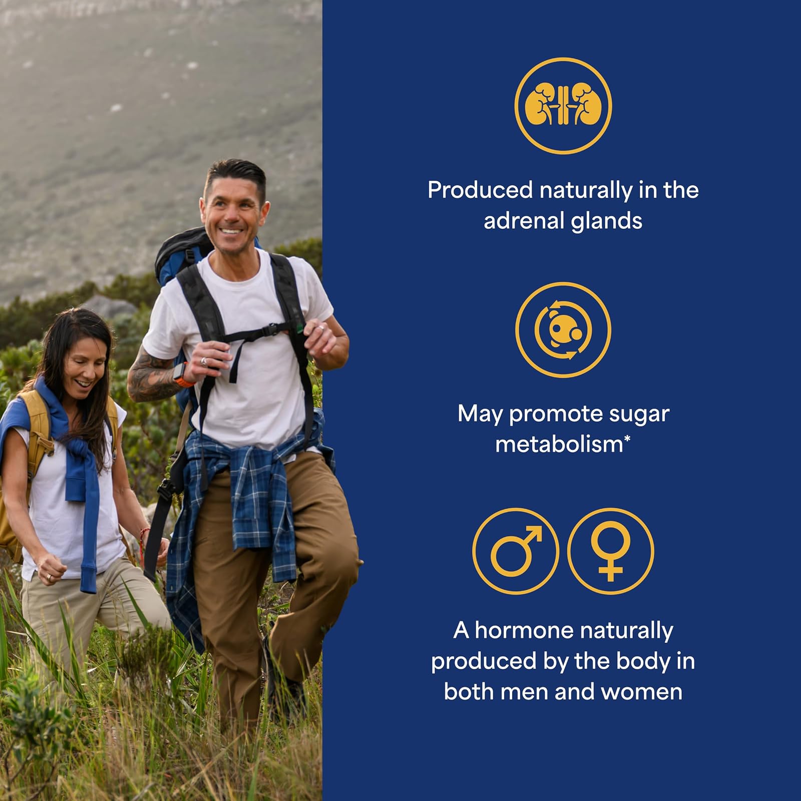 multivitamin for men with DHEA