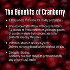 multivitamin for men with energy boost