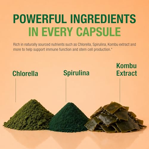 multivitamin for men with energy support