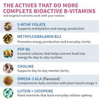 multivitamin for men with essential nutrients
