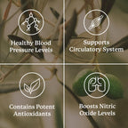multivitamin for men with essential nutrients