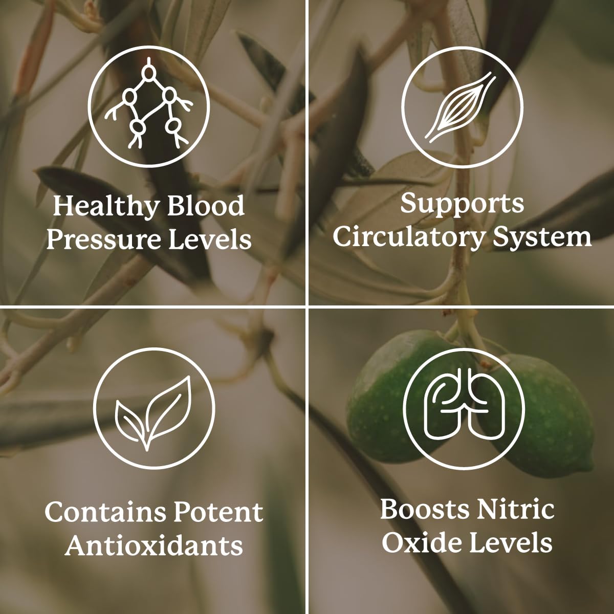 multivitamin for men with essential nutrients