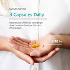 multivitamin for men with essential nutrients