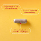 multivitamin for men with essential nutrients