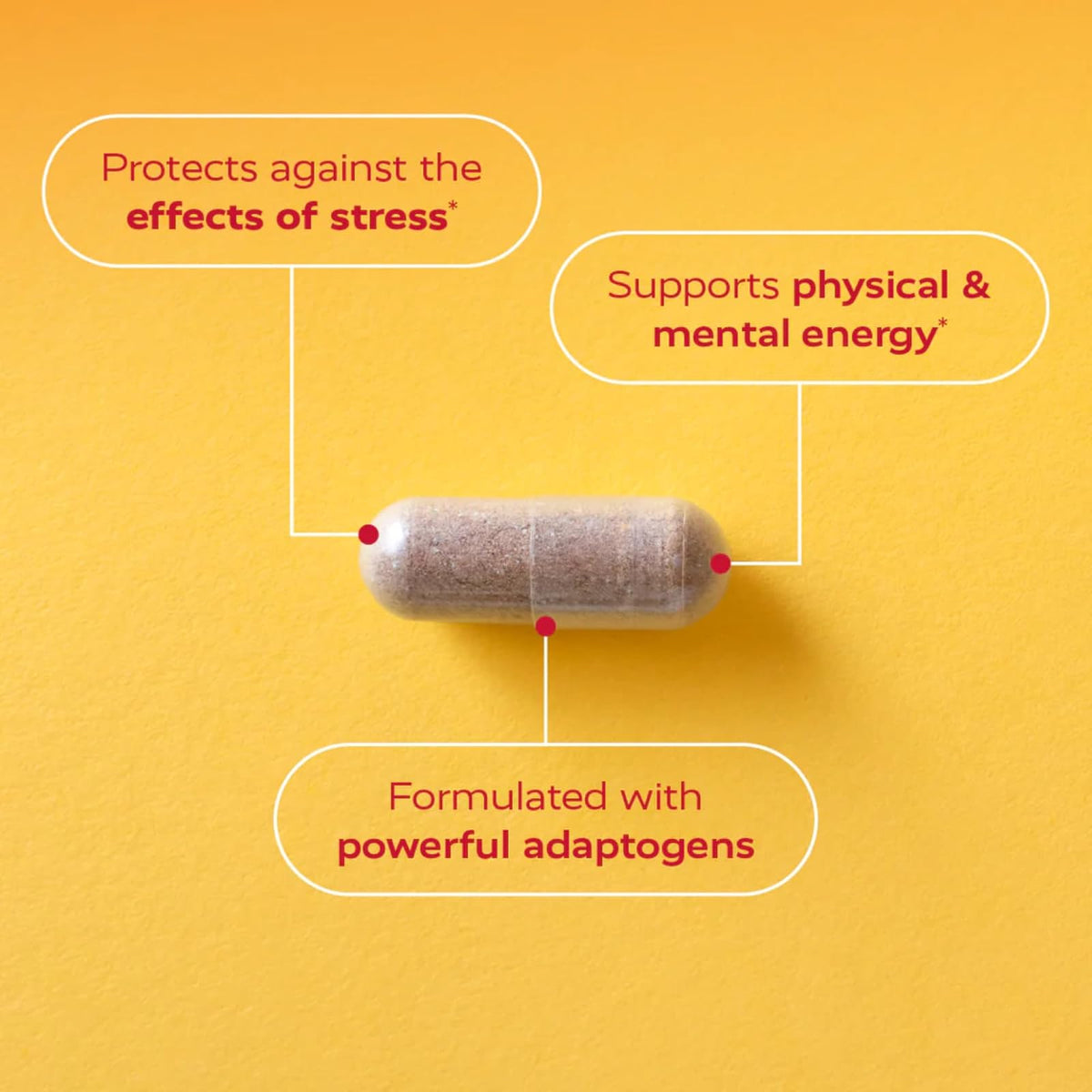 multivitamin for men with essential nutrients