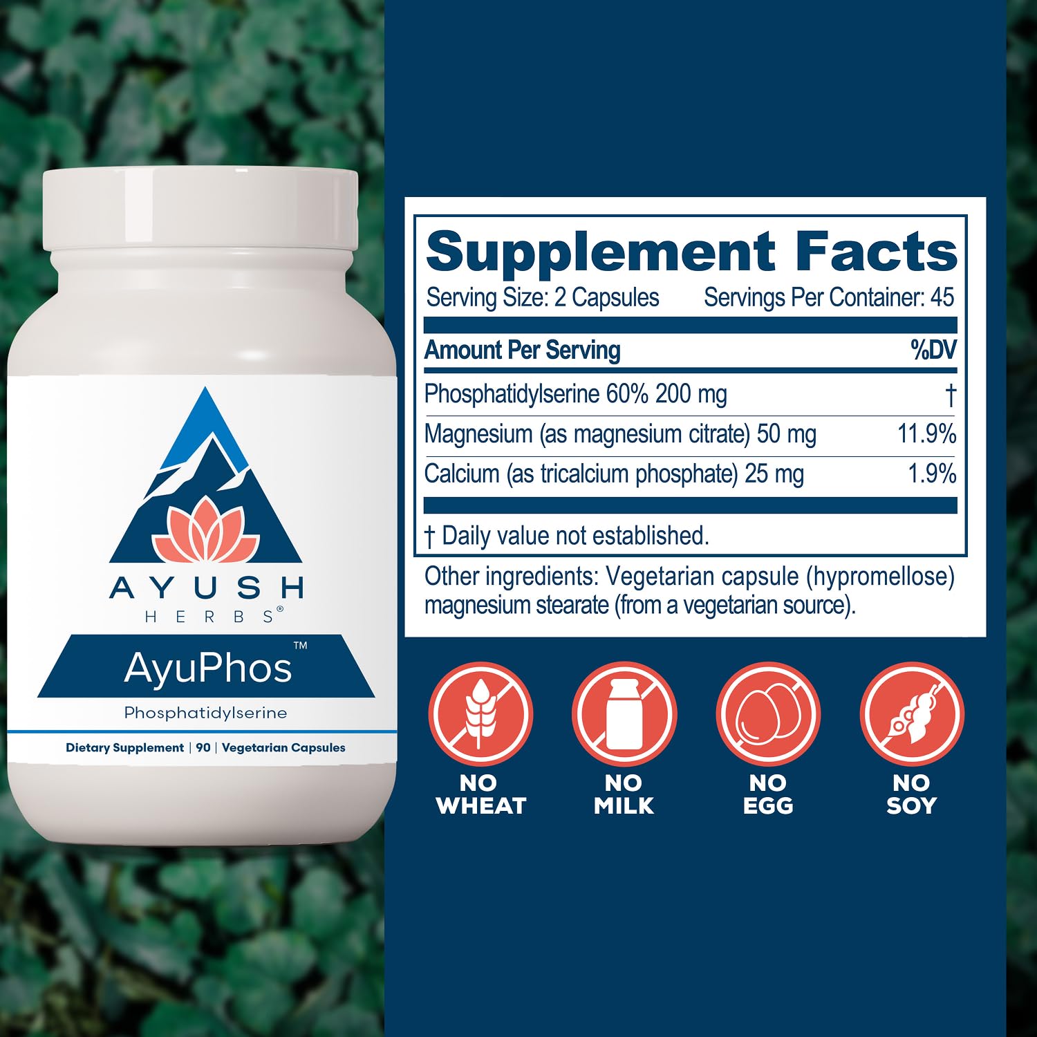 multivitamin for men with essential nutrients