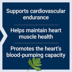 multivitamin for men with essential nutrients