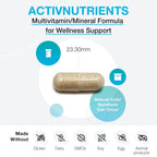 multivitamin for men with essential nutrients