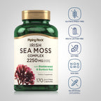 multivitamin for men with essential nutrients