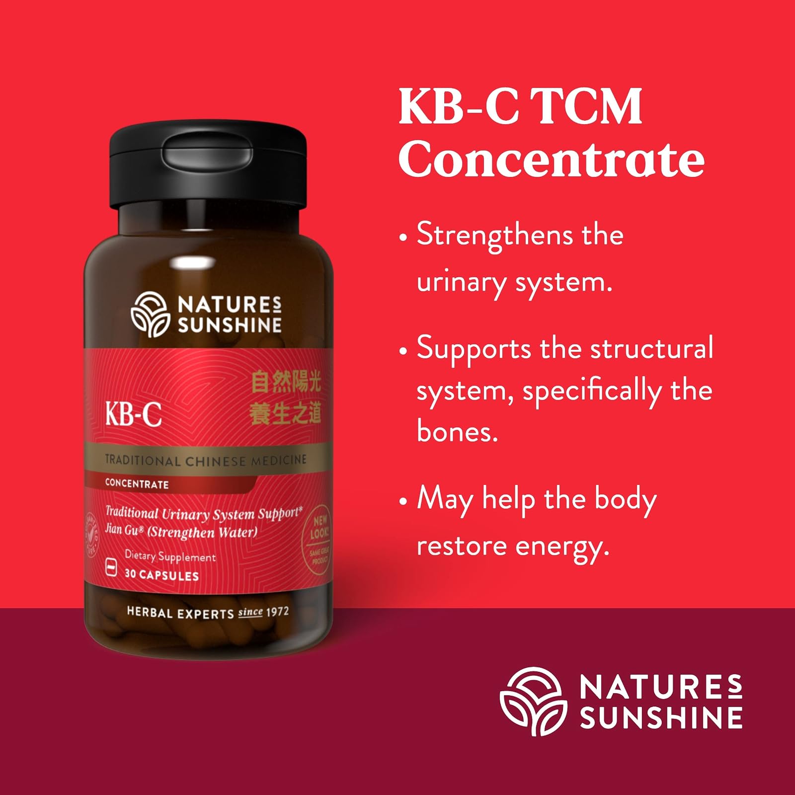 multivitamin for men with essential nutrients
