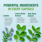 multivitamin for men with essential nutrients