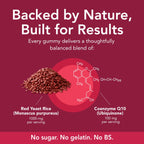Multivitamin for men with essential nutrients