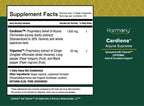 multivitamin for men with essential nutrients