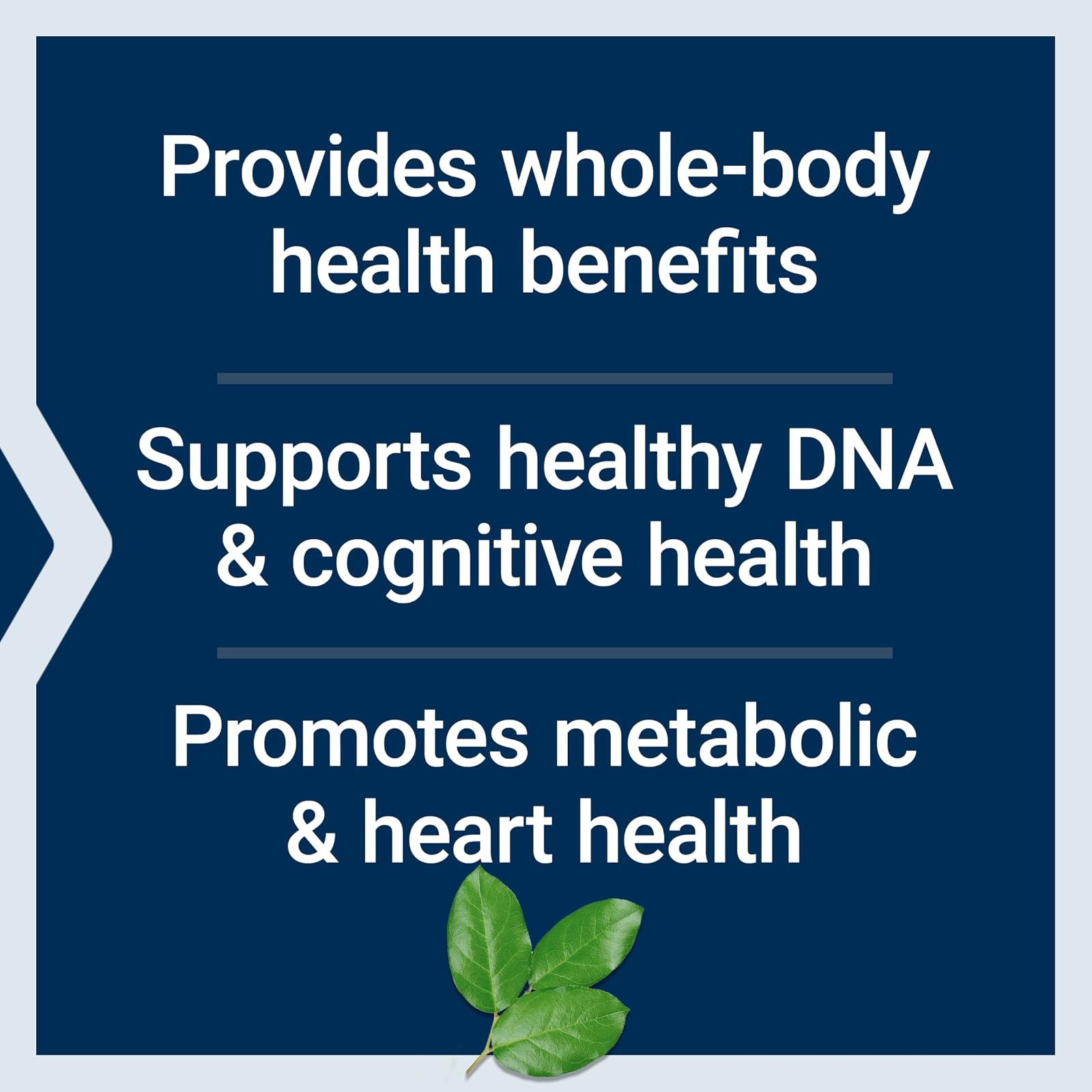 multivitamin for men with essential nutrients
