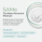 multivitamin for men with essential nutrients