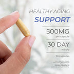 multivitamin for men with Fisetin