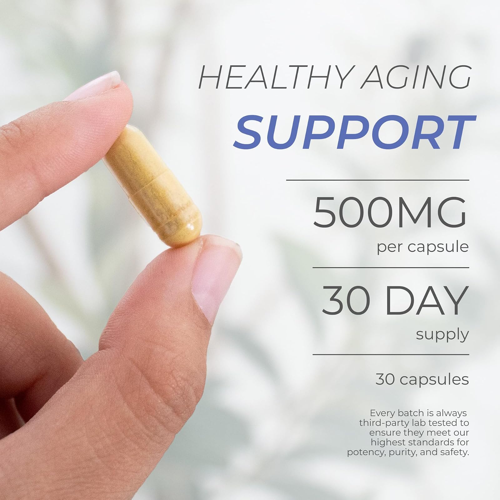 multivitamin for men with Fisetin