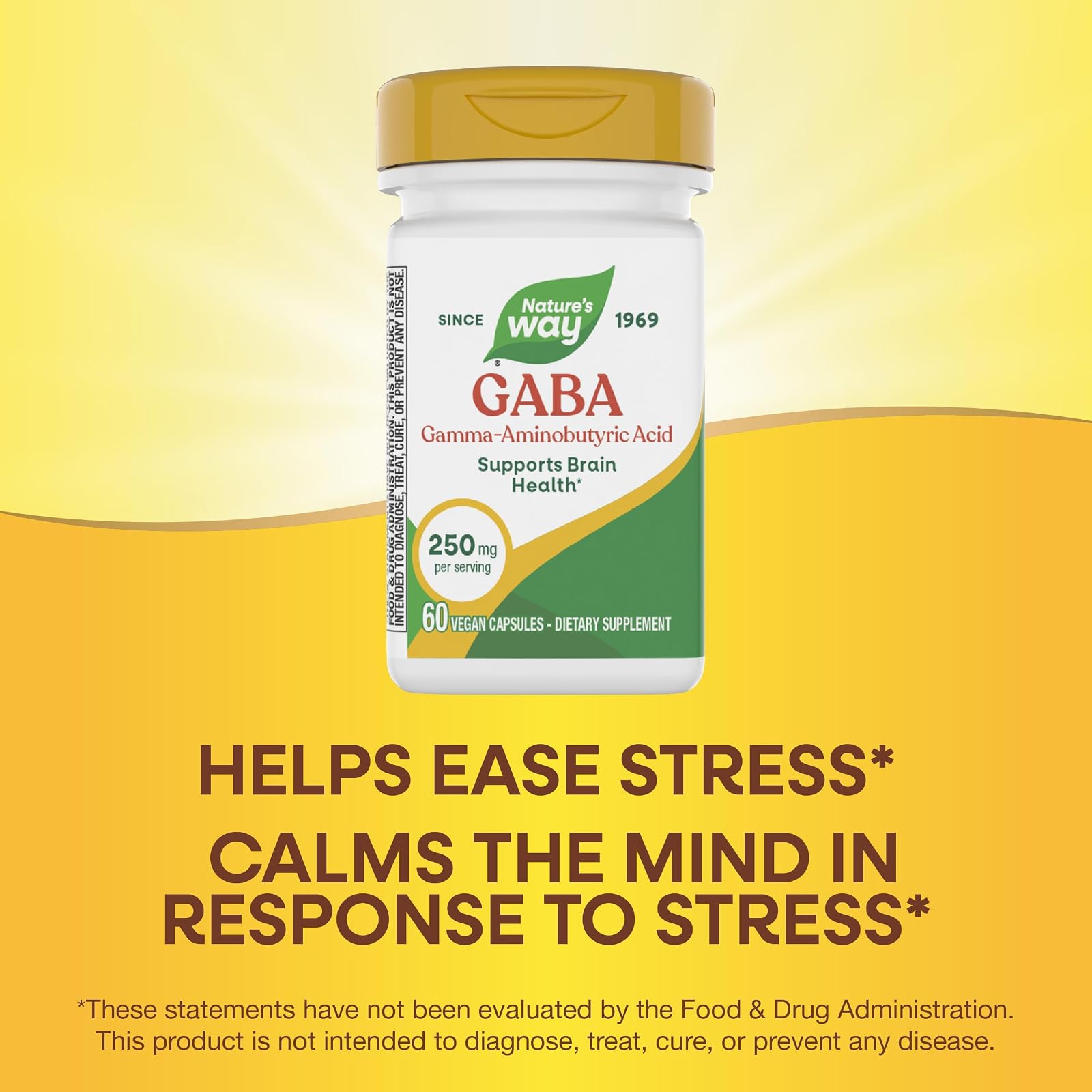 multivitamin for men with GABA