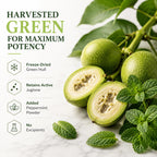 multivitamin for men with green walnut