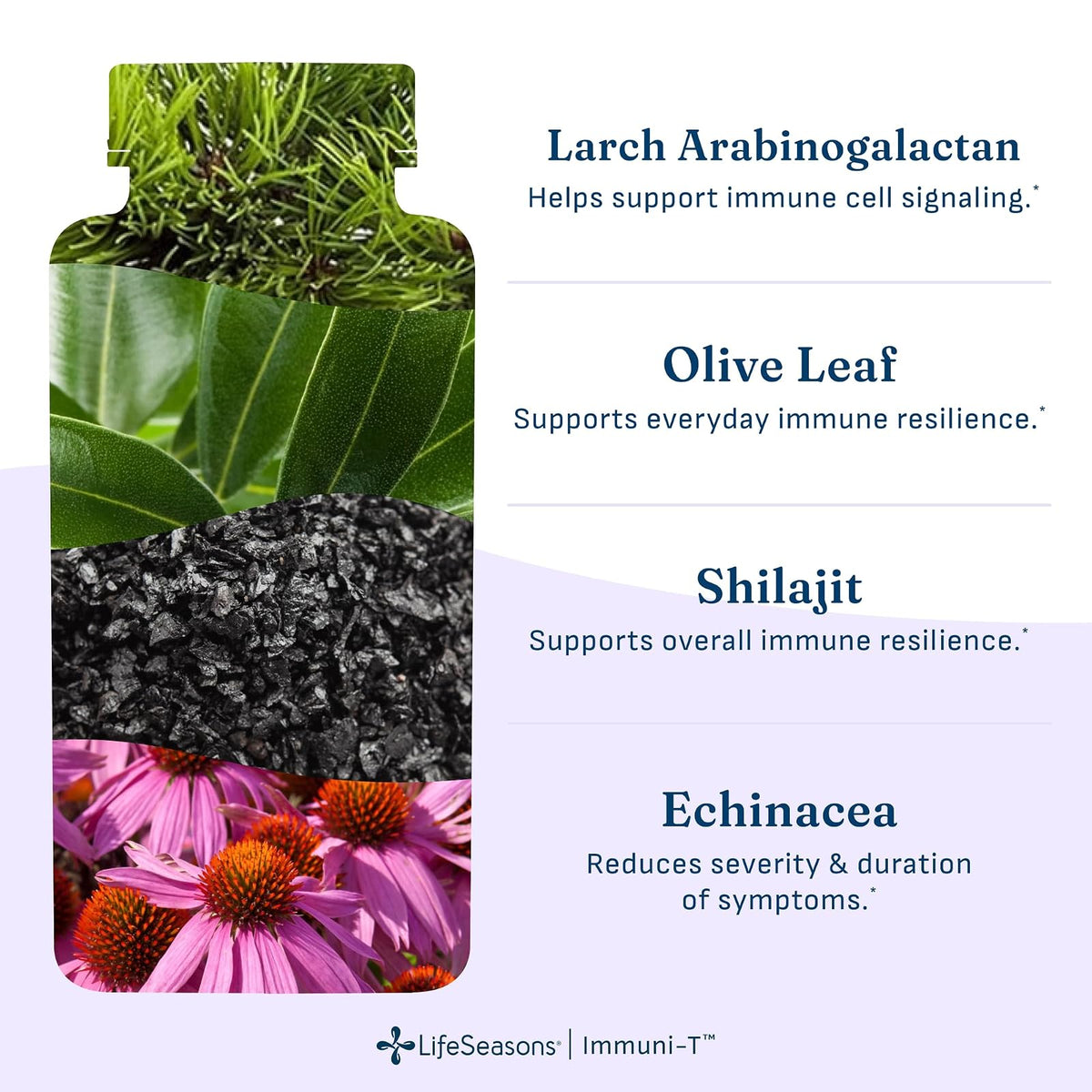 multivitamin for men with immune benefits