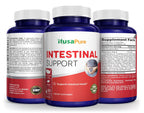 multivitamin for men with intestinal support