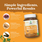 multivitamin for men with Irish sea moss