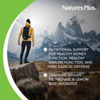 multivitamin for men with kidney support