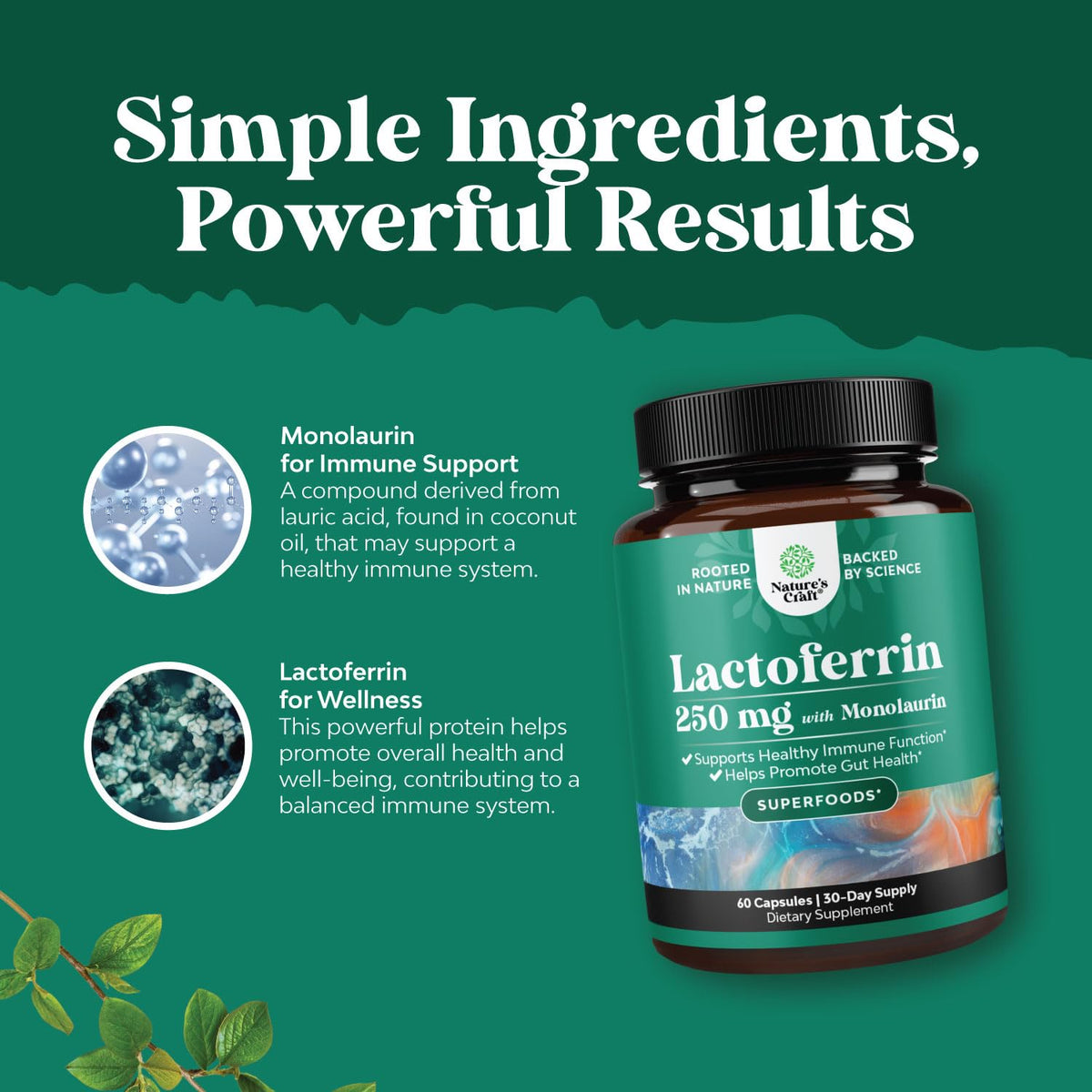 Multivitamin for men with Lactoferrin
