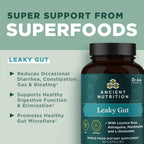 multivitamin for men with leaky gut support