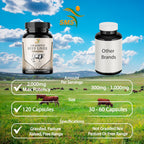 multivitamin for men with liver extract