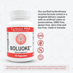 multivitamin for men with lumbrokinase benefits
