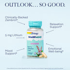 multivitamin for men with mood support