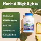 multivitamin for men with mullein
