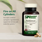 Multivitamin for men with nervous support