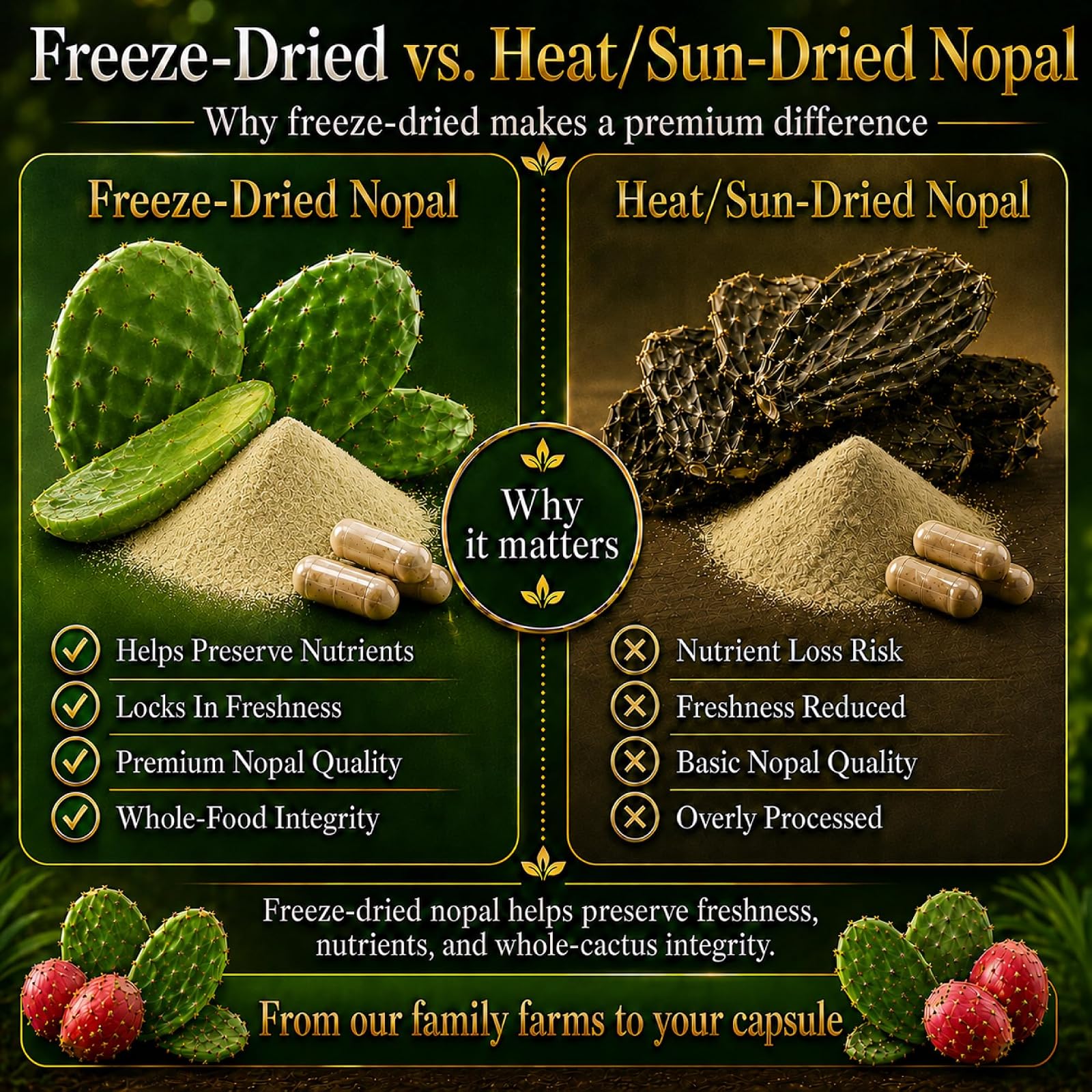 Multivitamin for men with nopal cactus