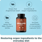 multivitamin for men with organ nutrients