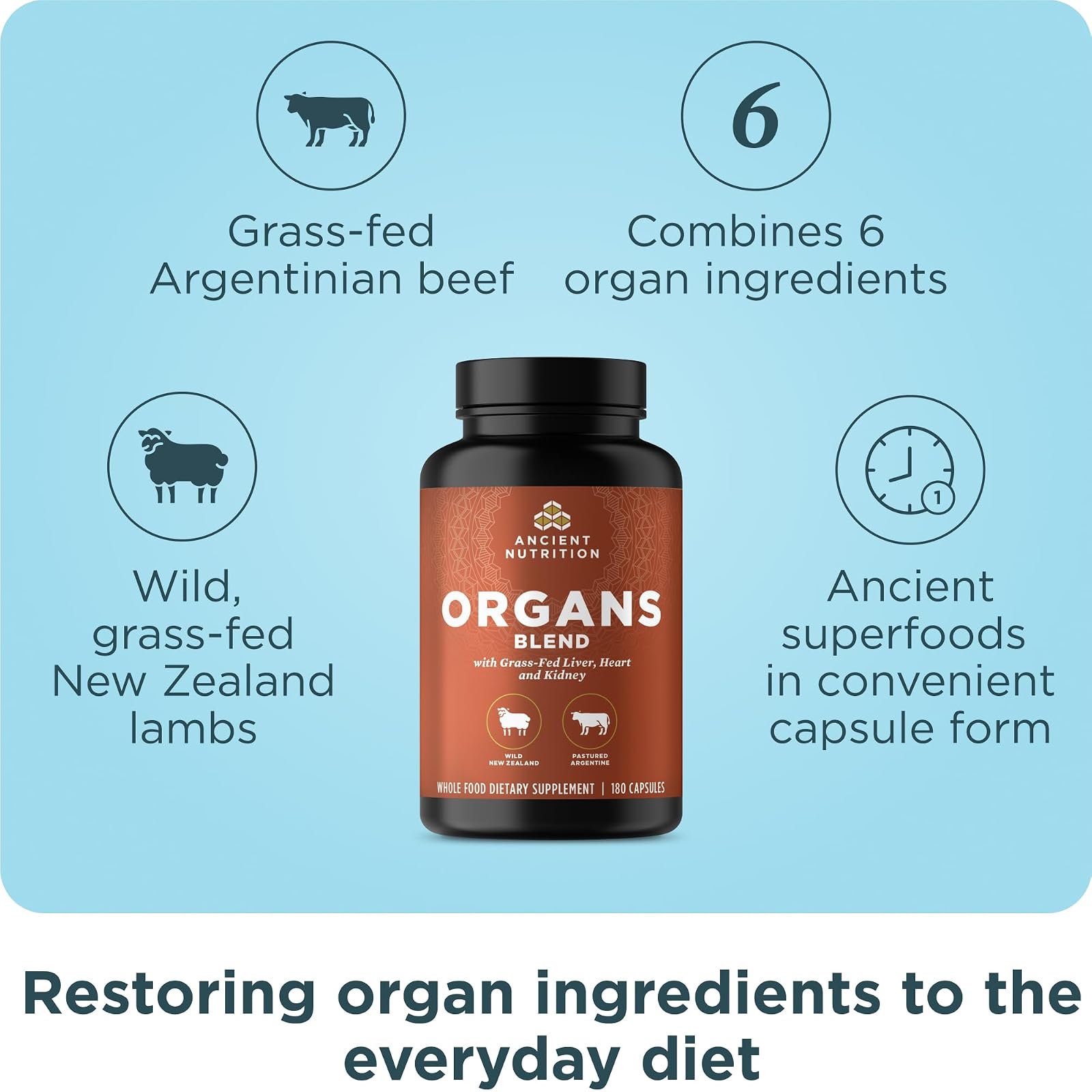 multivitamin for men with organ nutrients