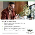multivitamin for men with phosphatidylserine
