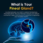 multivitamin for men with pineal benefits