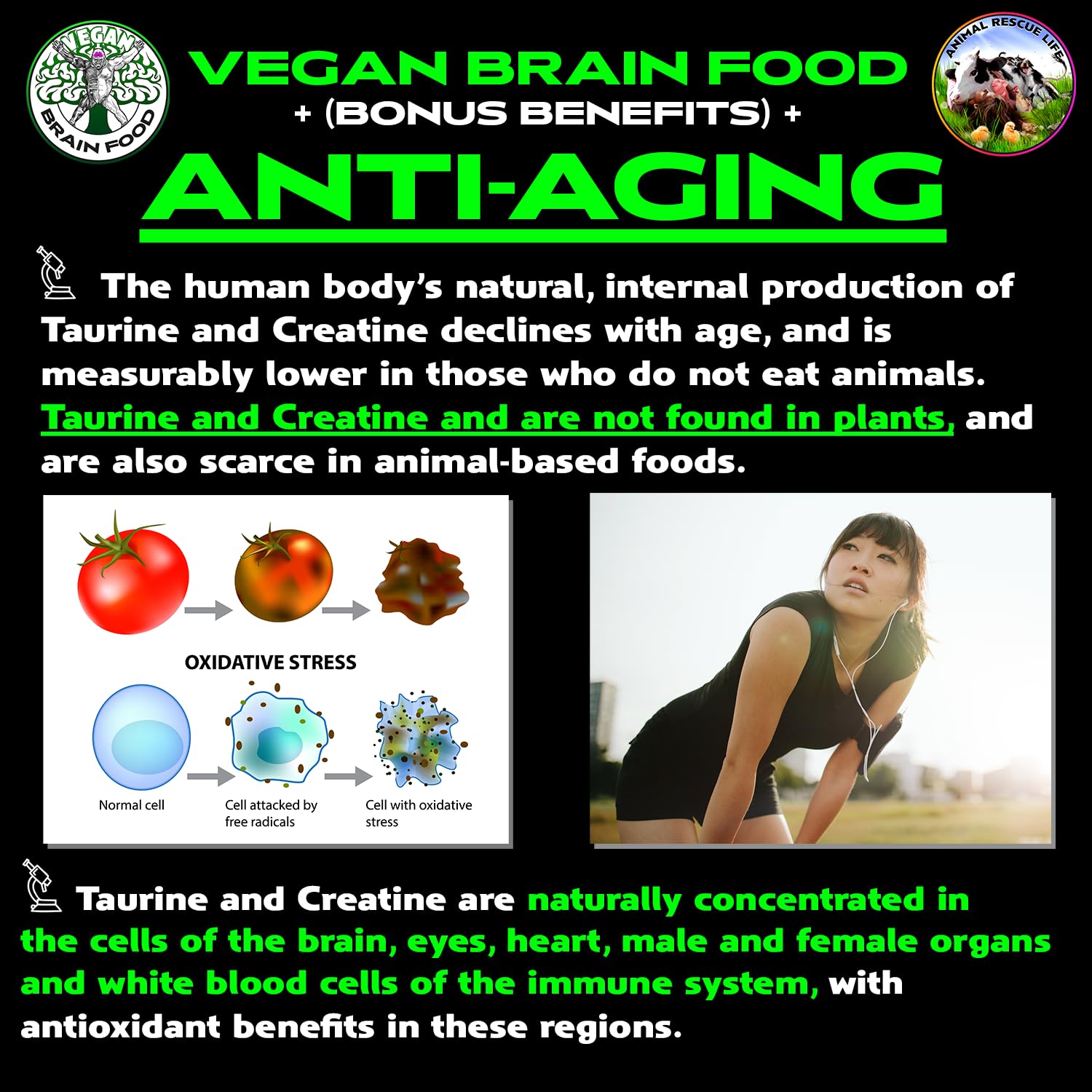 multivitamin for men with plant-based ingredients