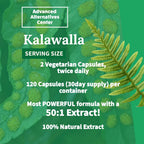 Multivitamin for men with Polypodium Leucotomos