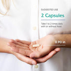 multivitamin for men with probiotics