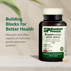 multivitamin for men with ribonucleic acid
