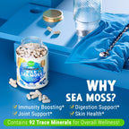 multivitamin for men with sea moss