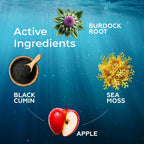 Multivitamin for men with sea moss
