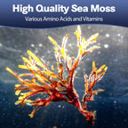multivitamin for men with sea moss
