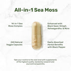 multivitamin for men with sea moss