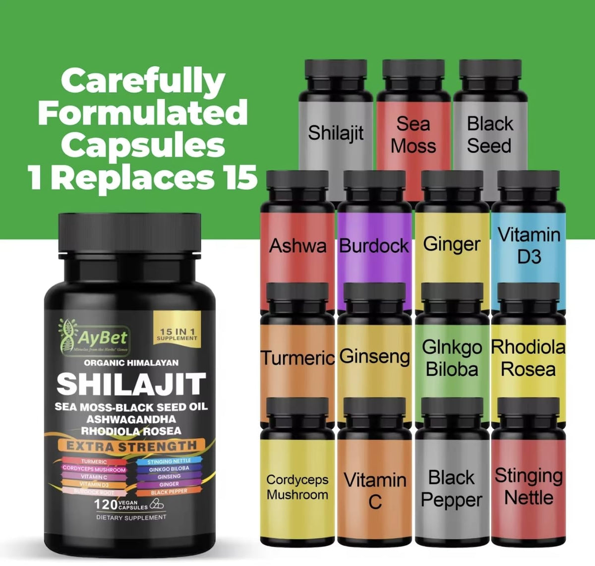 multivitamin for men with shilajit