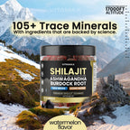 Multivitamin for men with Shilajit